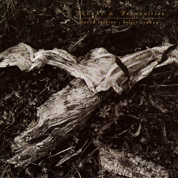 Plight - David Sylvian & Holger Czukay