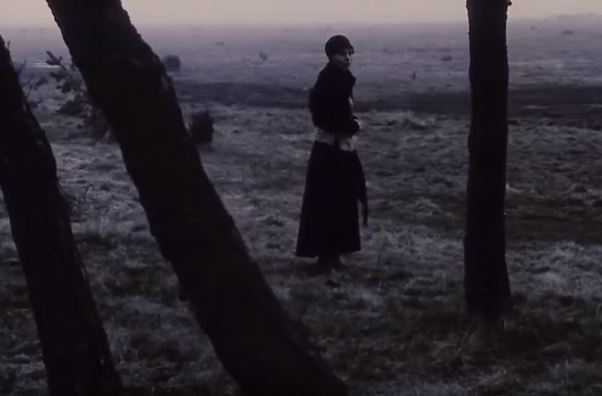 Maria - David Sylvian